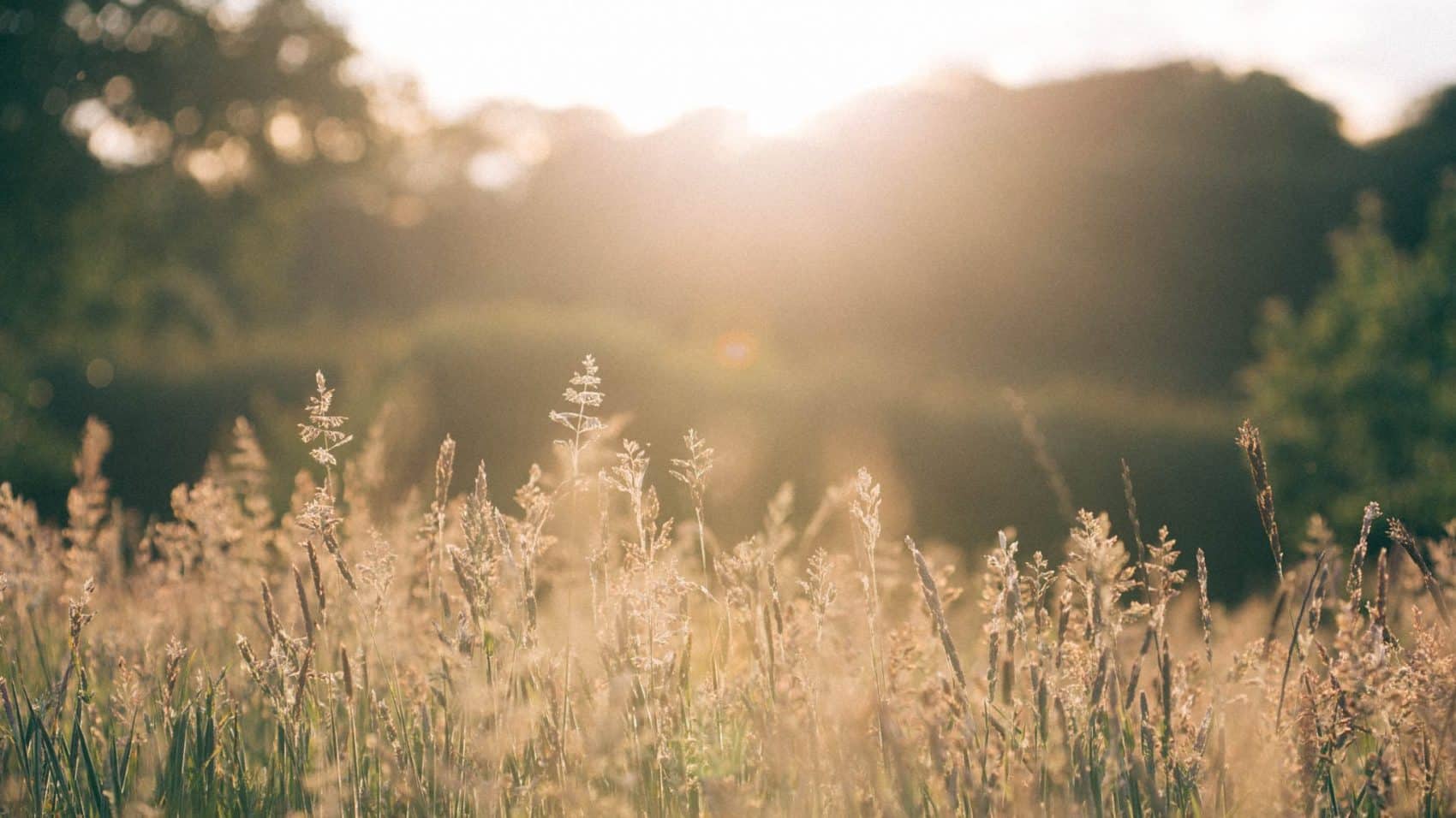 Ninham Farm, Shanklin, Isle of Wight | Ninham Country Holidays