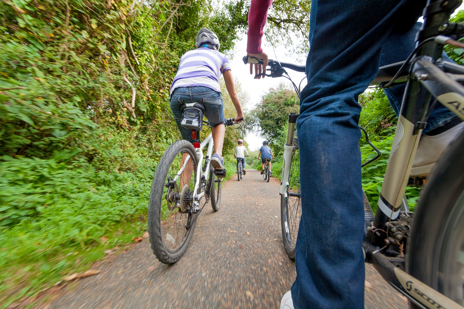 4 Star Camping and Touring | Ninham Country Holidays