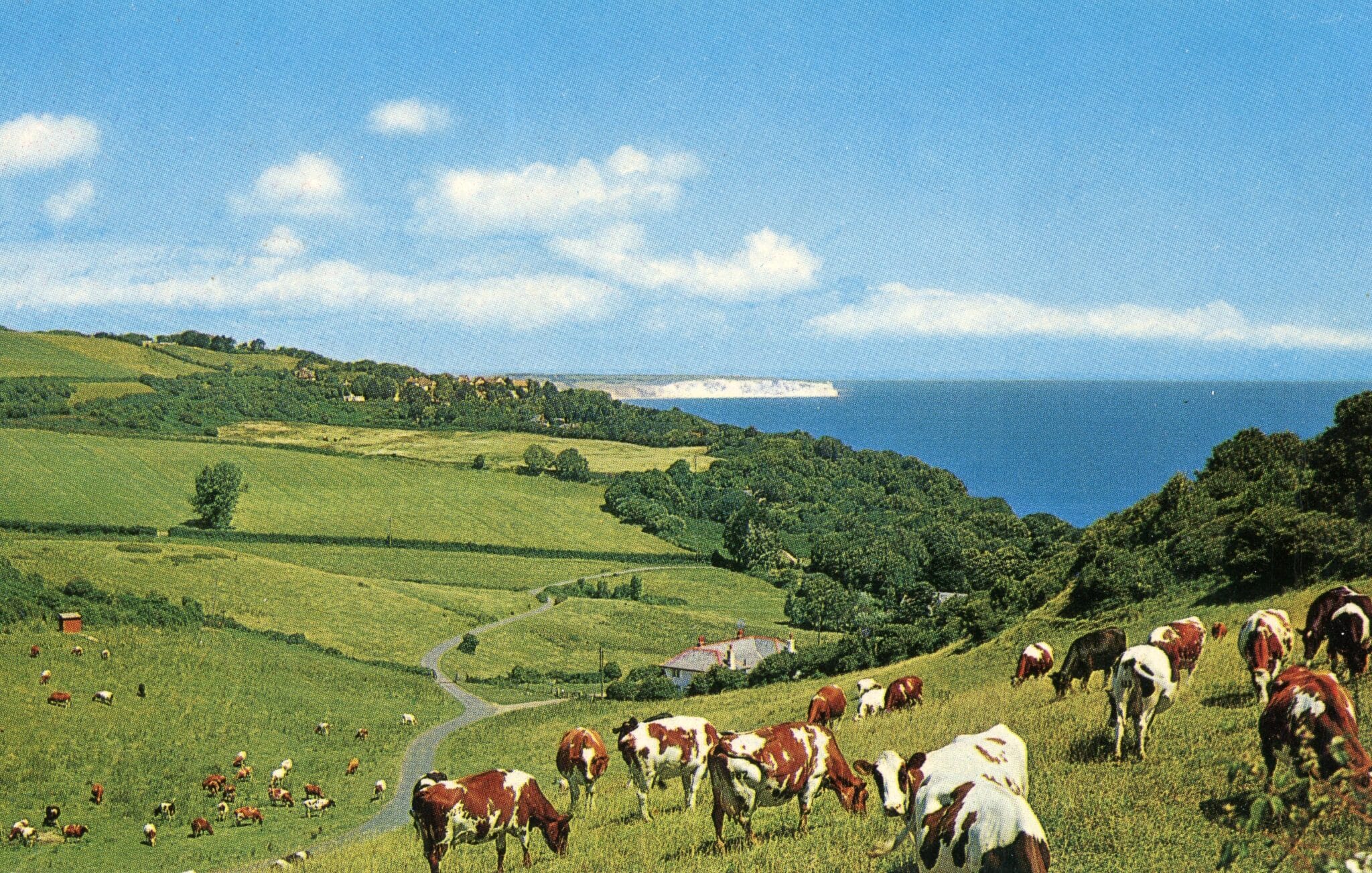 Campsite on the Isle of Wight | Family Camping