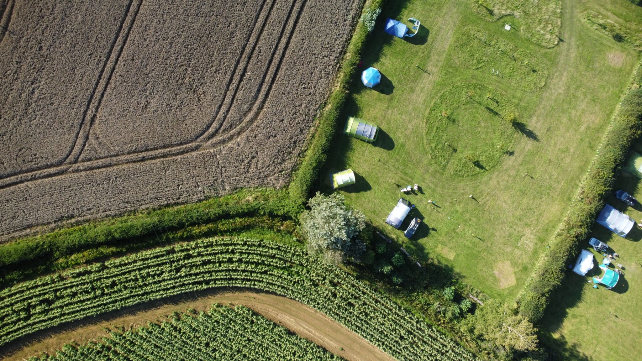 Campsite on the Isle of Wight | Family Camping